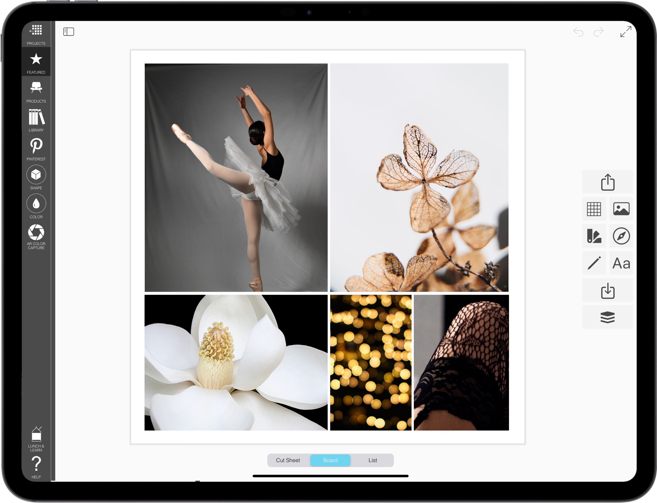 Morpholio Board - Best App for Interior Design